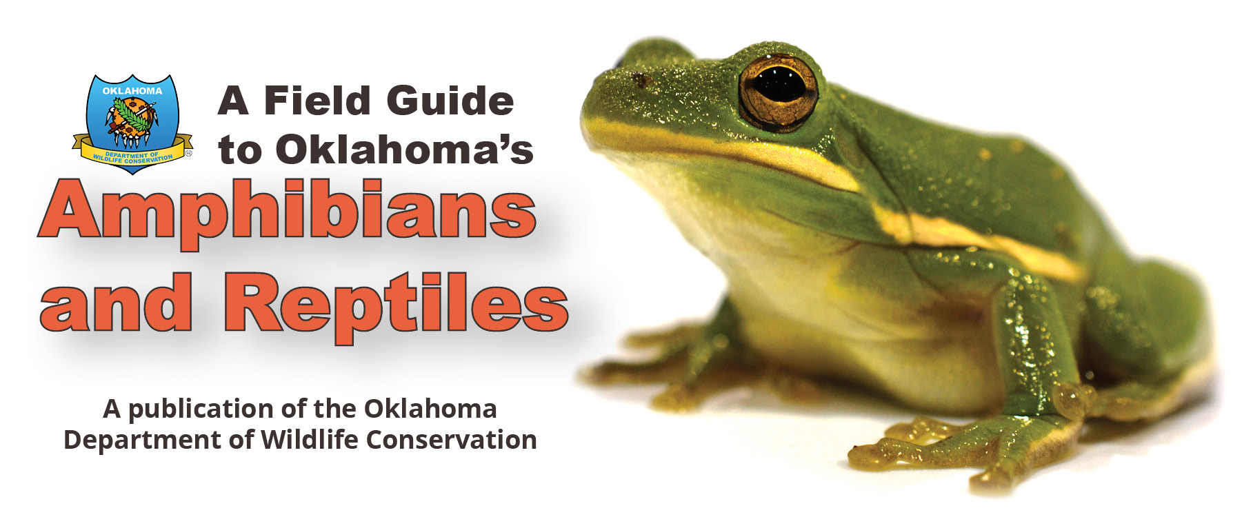 Amphibian and Reptile Guide Custom-made for Oklahoma | Oklahoma ...