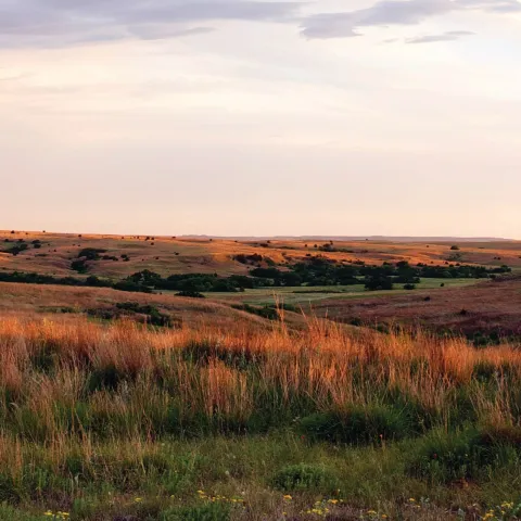 Oklahoma Department of Wildlife Conservation | Oklahoma Department of ...