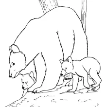 wildlife perserve coloring pages