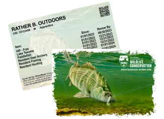 Local Artist Commissioned for Collectible License Card Designs ...