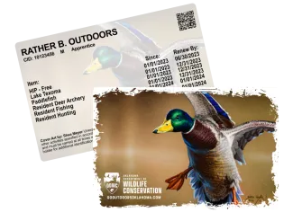 Local Artist Commissioned for Collectible License Card Designs ...