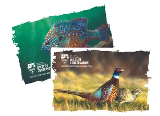 The Youth Annual Super Hunting License | ODWC