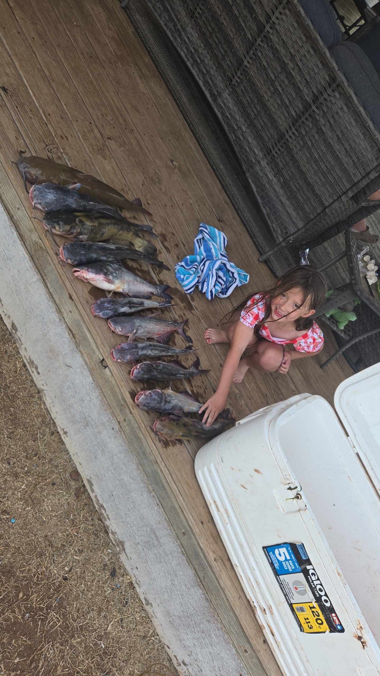 The Dock - Upload Your Catch | ODWC